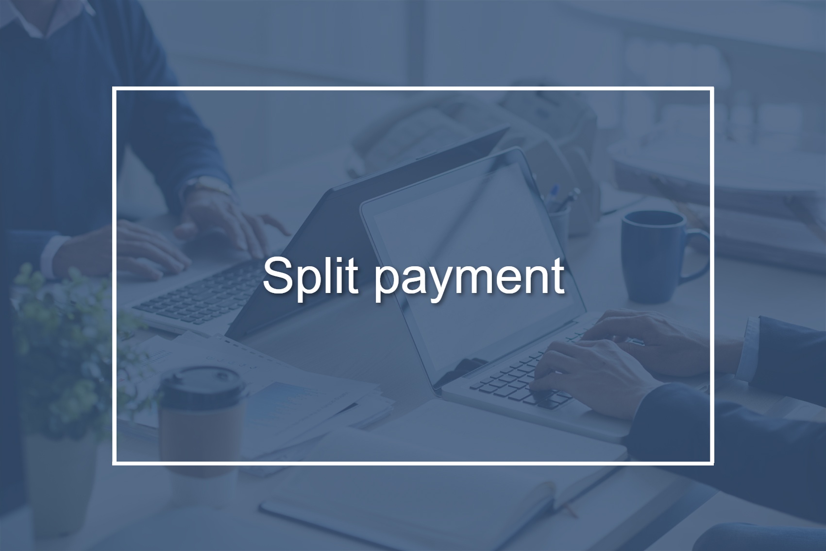 Circolare n. 25/2024 - Split payment: aggiornati gli elenchi da parte ...